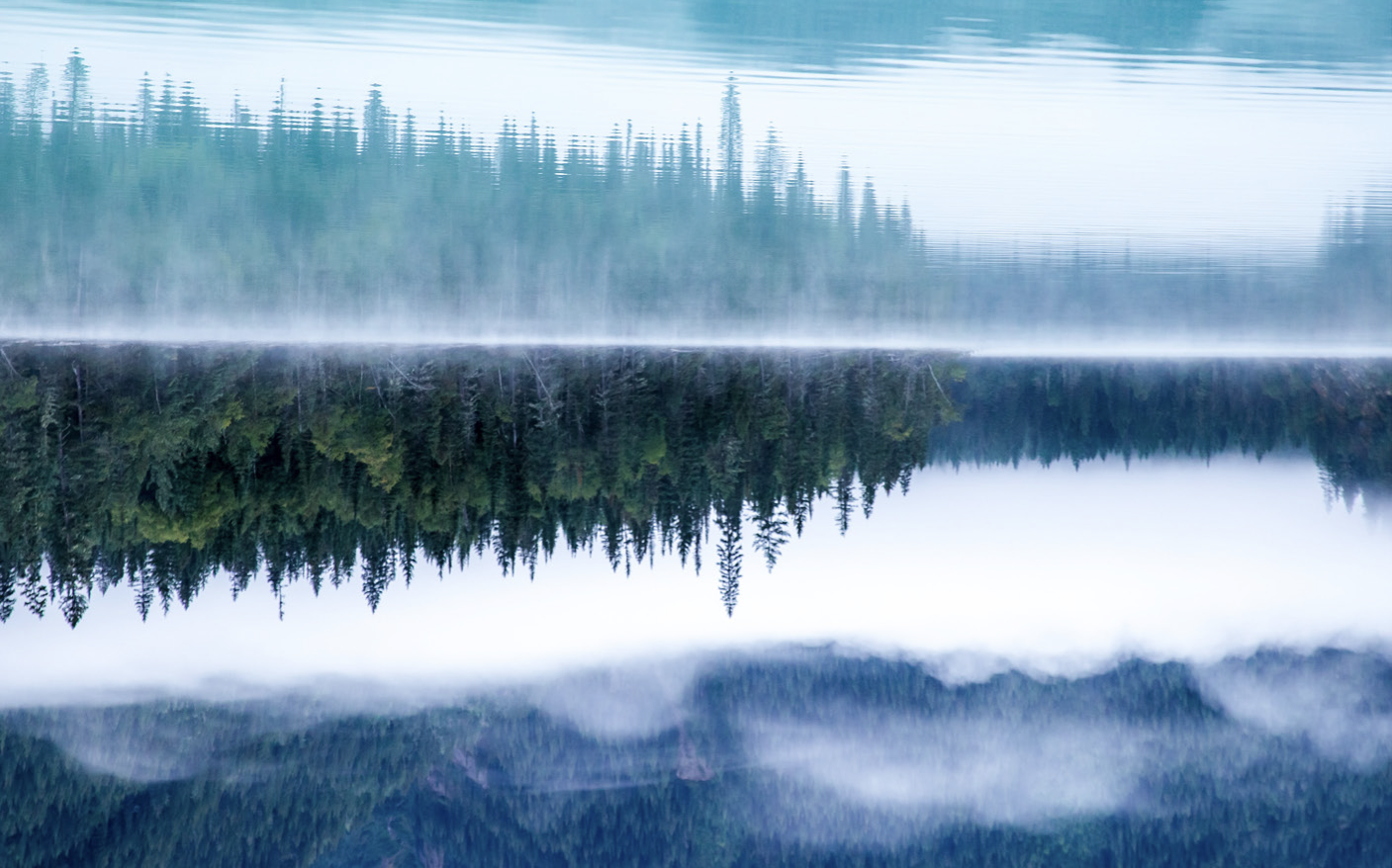 BREDA Appliances - Find Harmony With Us - Pacific Specialty Brands