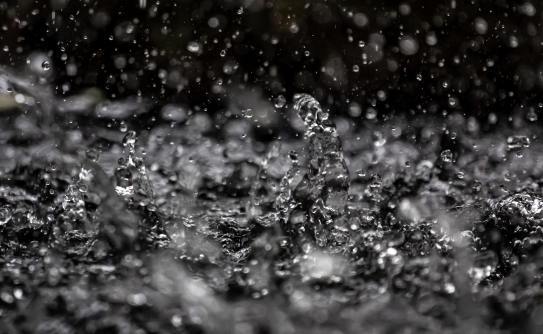 BREDA Appliances - Find Harmony With Us - Pacific Specialty Brands